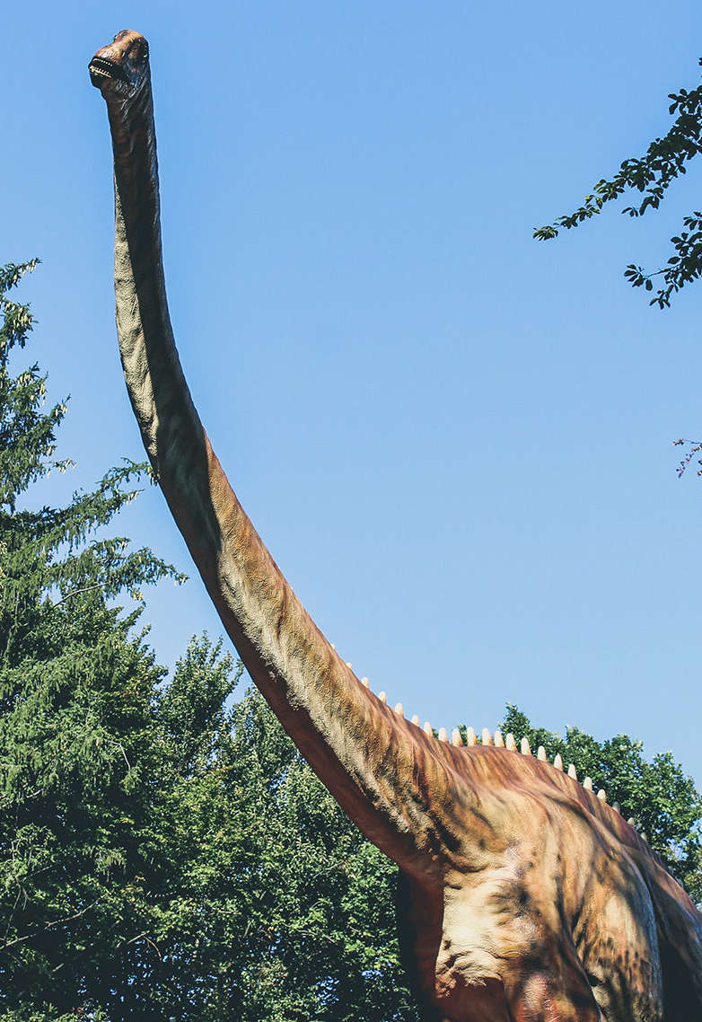 Rexon Recap Support – EncompassIT